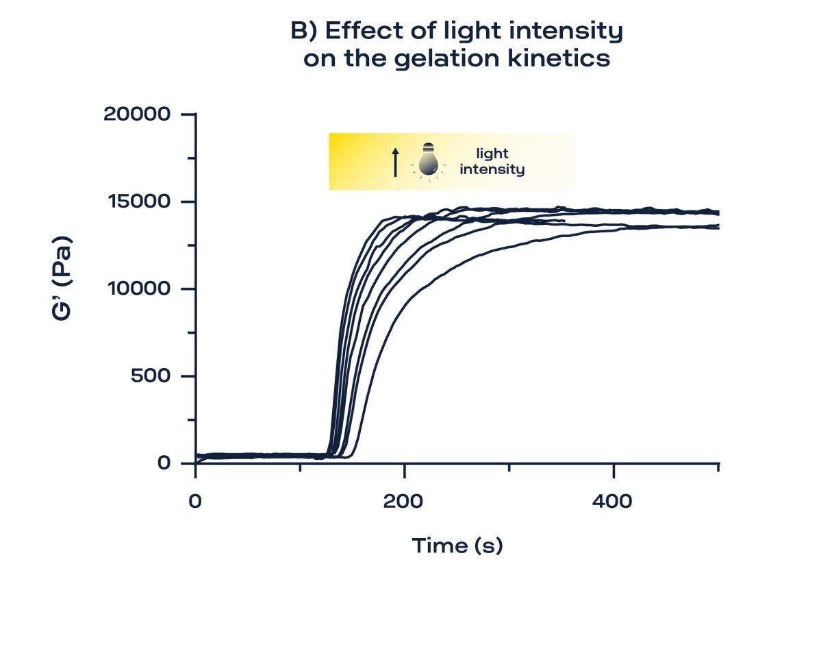 AI in Hydrogel Development: Gel Formation and Mechanical Predictions