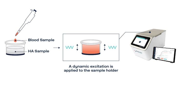 Effect of hemostatic agents on the coagulation of blood : in vitro ...
