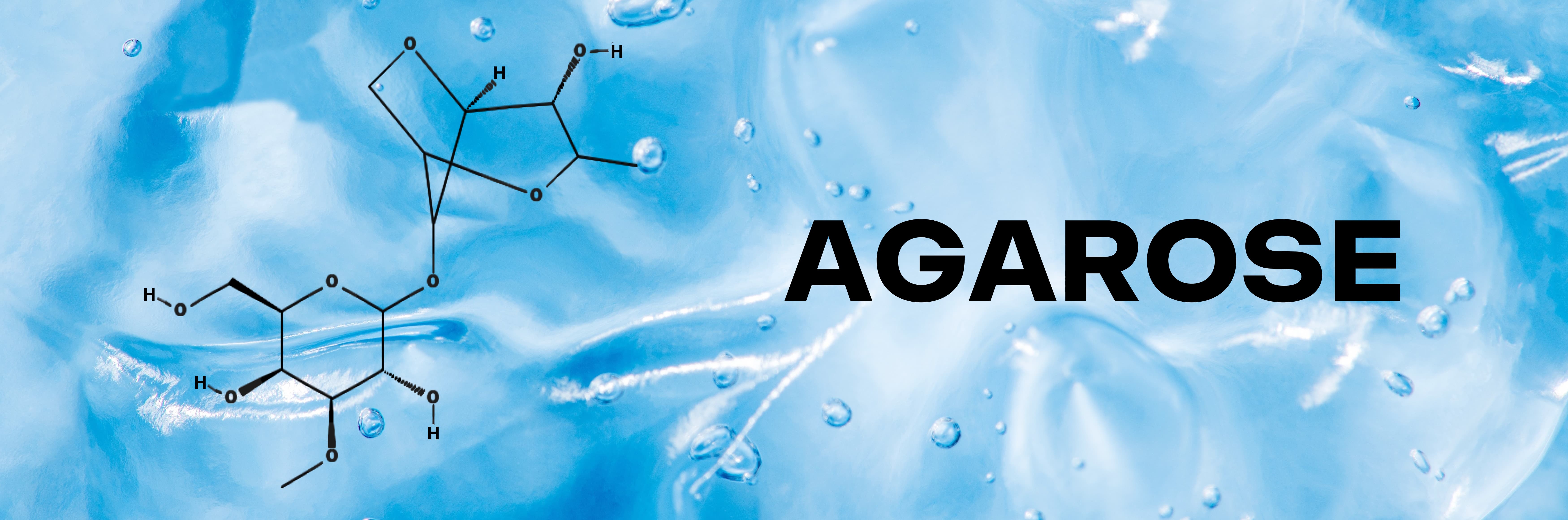 Agarose Hydrogels: Properties, Applications & Mechanics