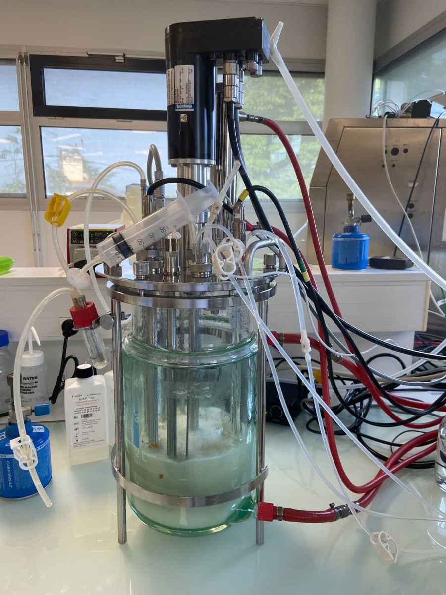 How to quantify cell concentration with turbidity?