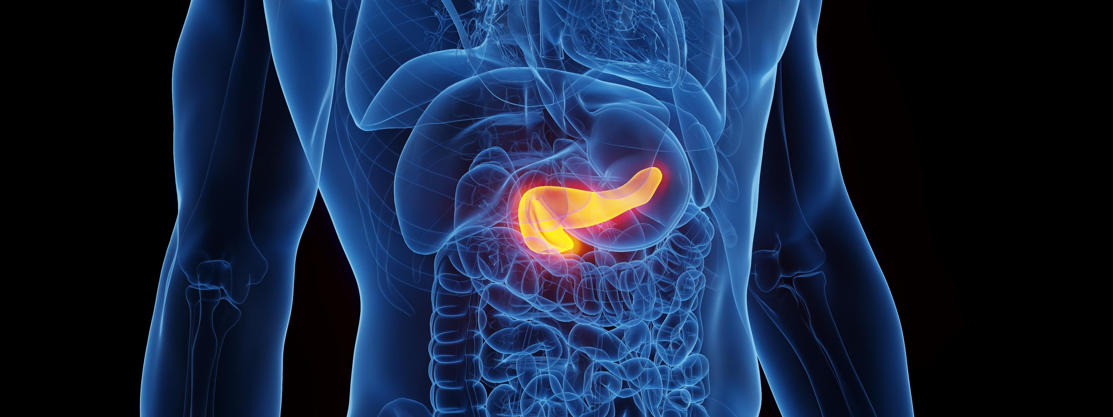 Measuring Mechanical Properties of Pancreas Tissue